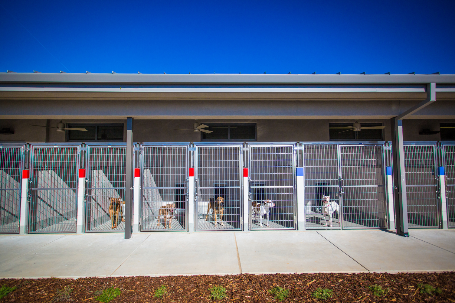 Job Posting Kennel Attendant Placer County