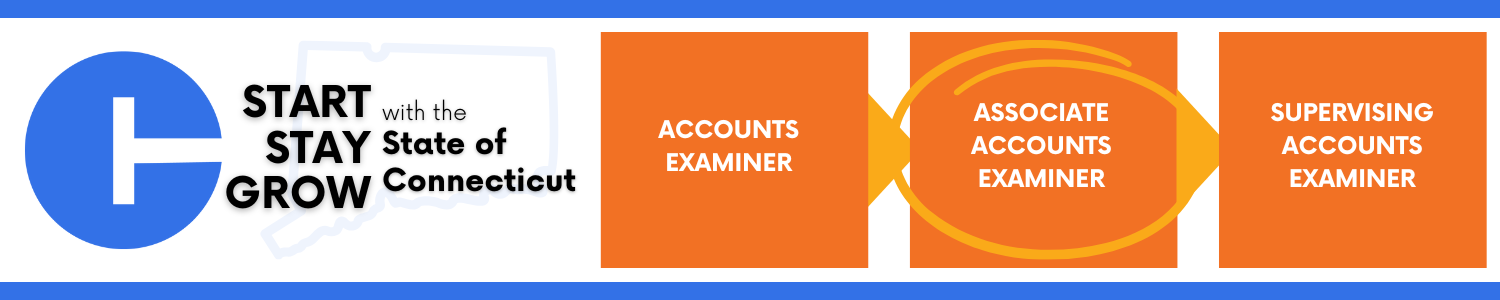 Job Opening: Associate Accounts Examiner - Department of Administrative ...