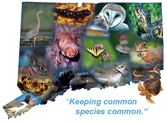 Job Opening: Environmental Protection Seasonal Resource Assistant ...