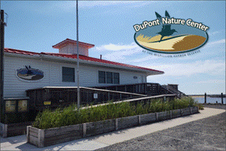 Fish & Wildlife DuPont Nature Center Naturalist ll - State of Delaware