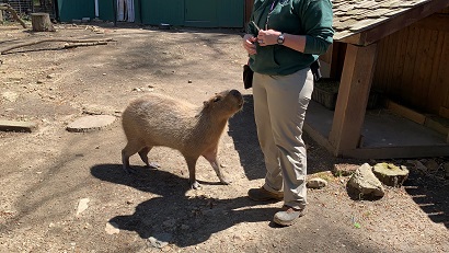 Zoo Security Officer - State of Delaware