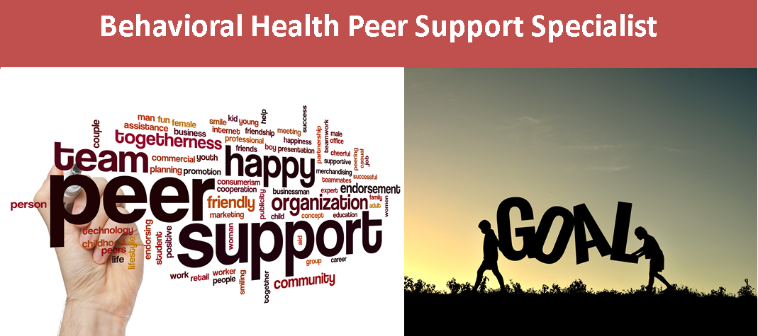 Job Announcement: Behavioral Health Peer Support Specialist - County of ...