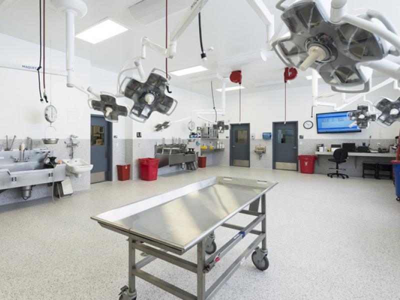 Job Announcement: Coroner Forensic Technician - County of Solano